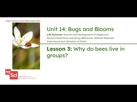 Unit 14 Lesson 3 Video - YouTube