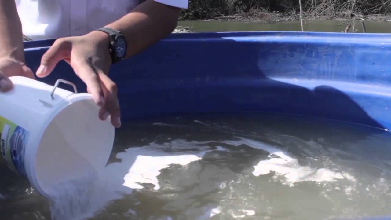 EPICIN PST [EPIZYM PST] video español subtitled in English - YouTube