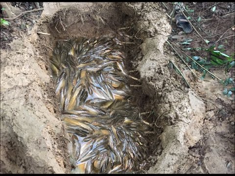 Amazing Deep Hole Fishing - How to fishing with deep hole - Cambodia ...