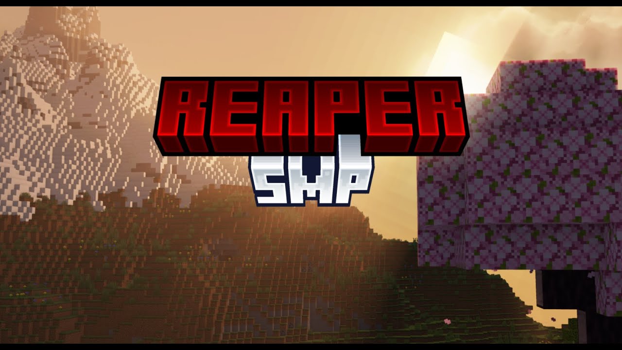 The Reaper SMP! Applications Open - YouTube