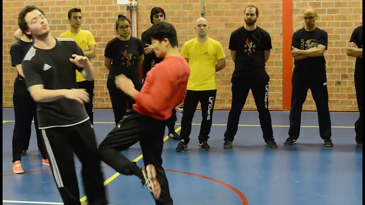 Sifu Mark in the Netherlands 2018 - YouTube
