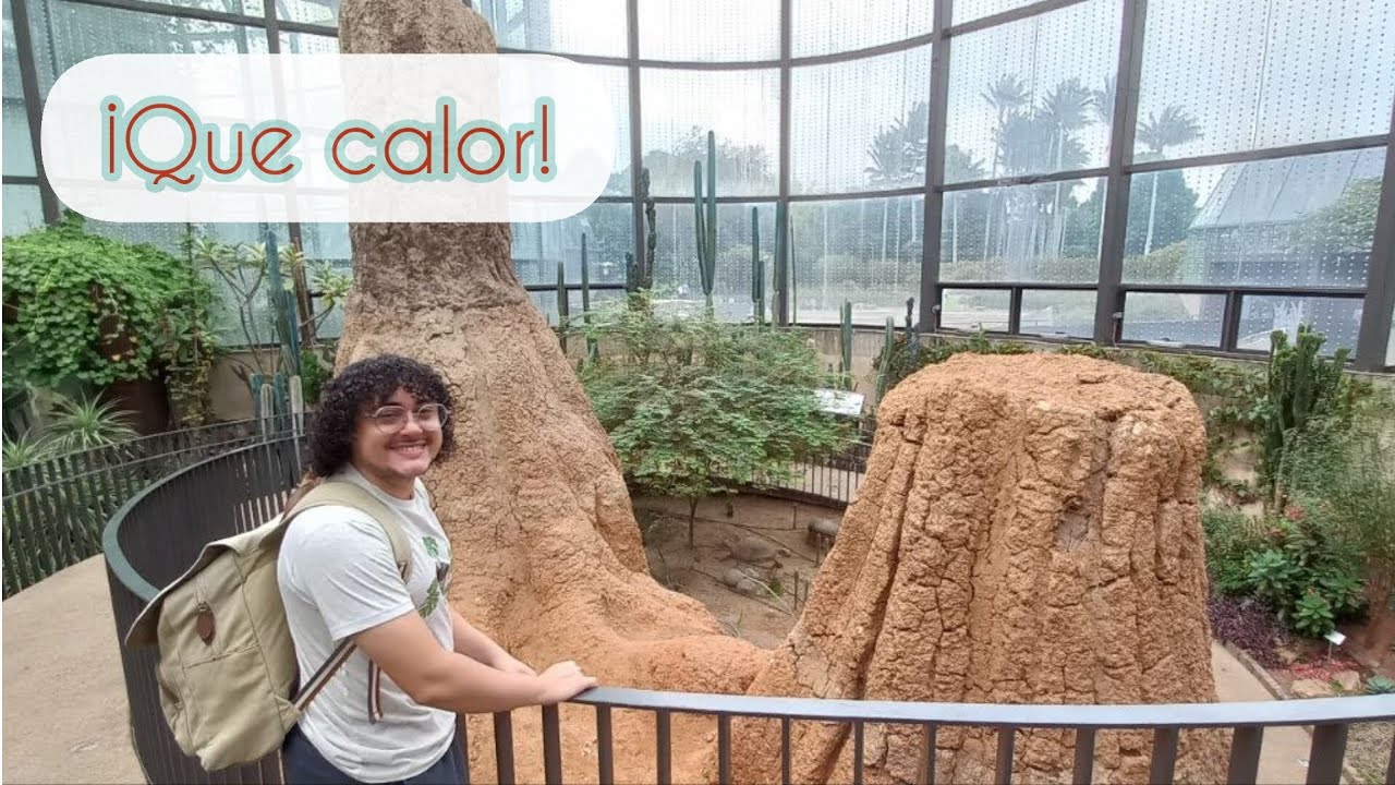 Un hermoso desierto| Tropicario: bosque seco xerofitico - YouTube