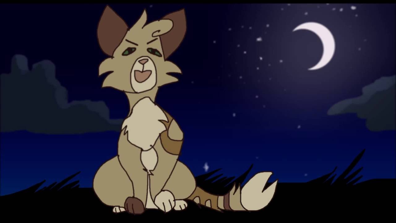 merp mERP MERP i re-auditioned - YouTube