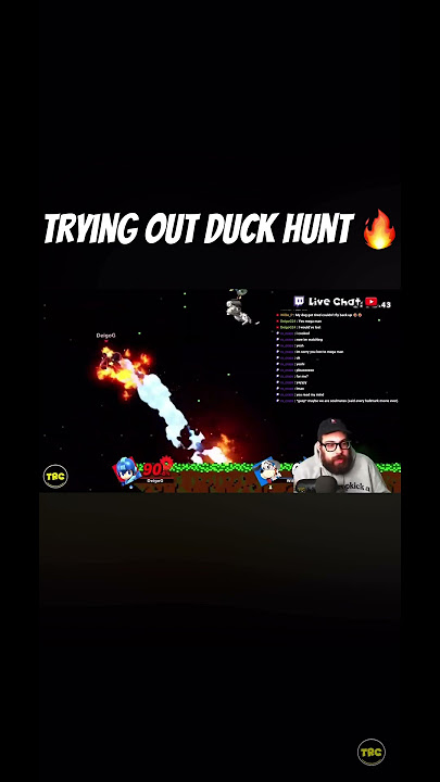 Game Duck Hunt - 시네21