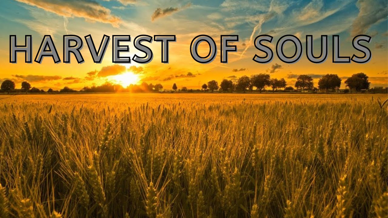 Harvest of Souls - Colheita de Almas - Hermes Falcão Jr. - YouTube
