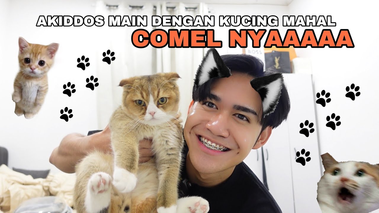 AKIDDOS MAIN DENGAN KUCING MAHAL 😚 | COMEL NYAAAA 😍 - YouTube