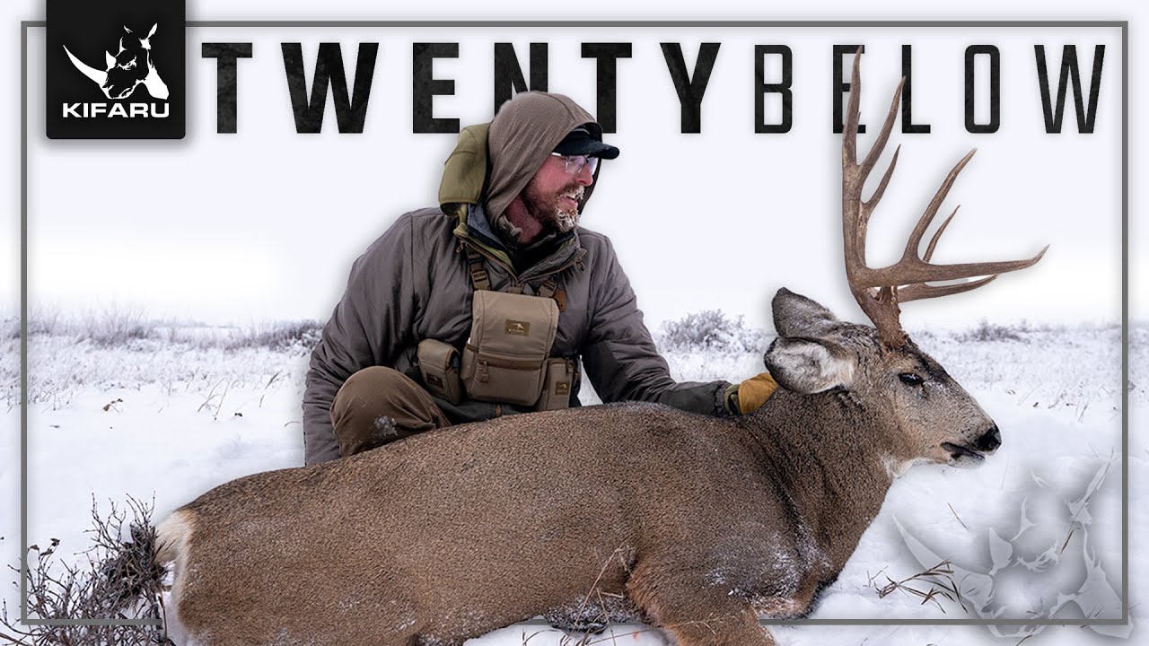 Twenty Below: Alberta Mule Deer - YouTube