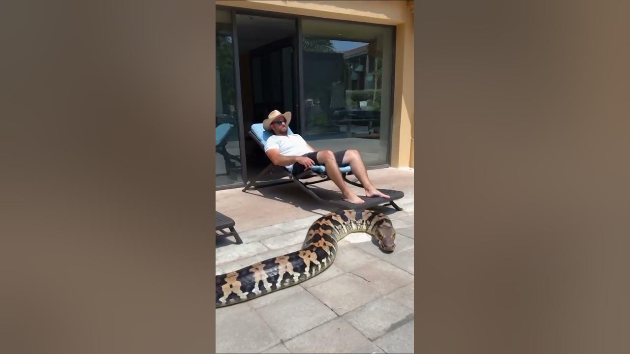 Nice sunshine, sunbathing with pet snakes Would you like to have a pet ...