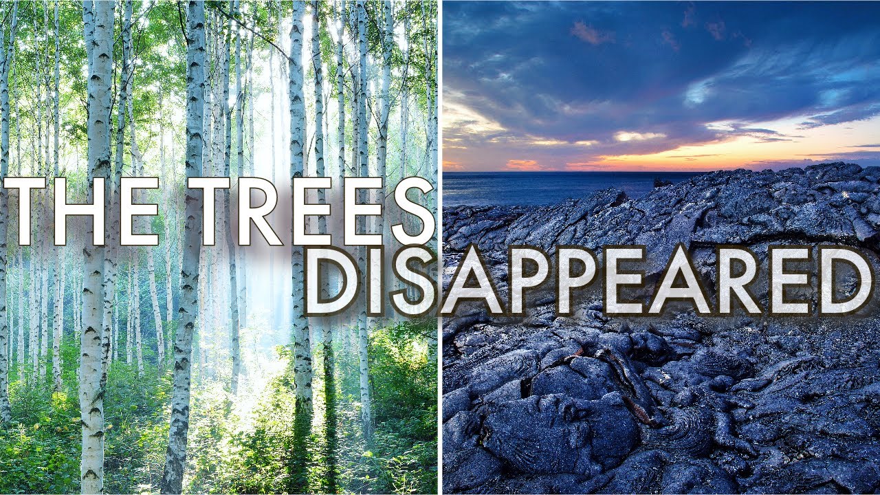 The Mystery of Iceland’s Vanishing Trees: A Cautionary Tale - YouTube