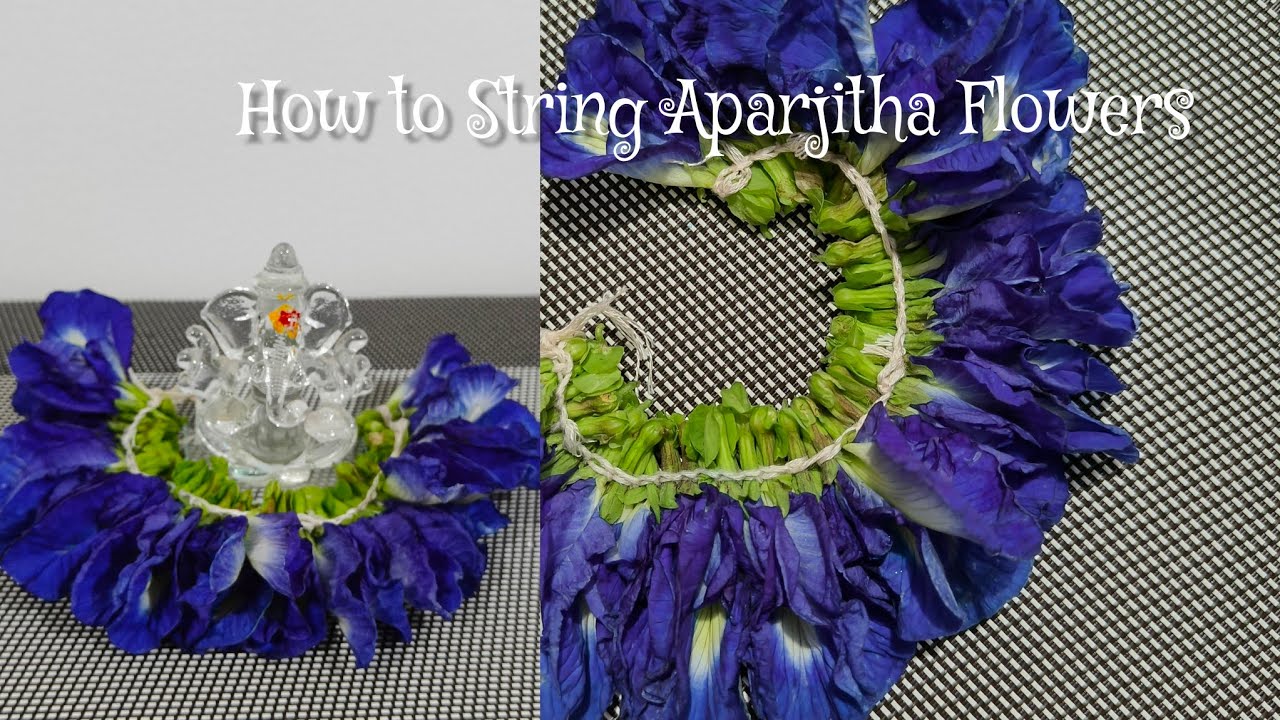 How to String Aparjitha Flowers | Aparjitha / Shanka Pushpa Flower Mala ...