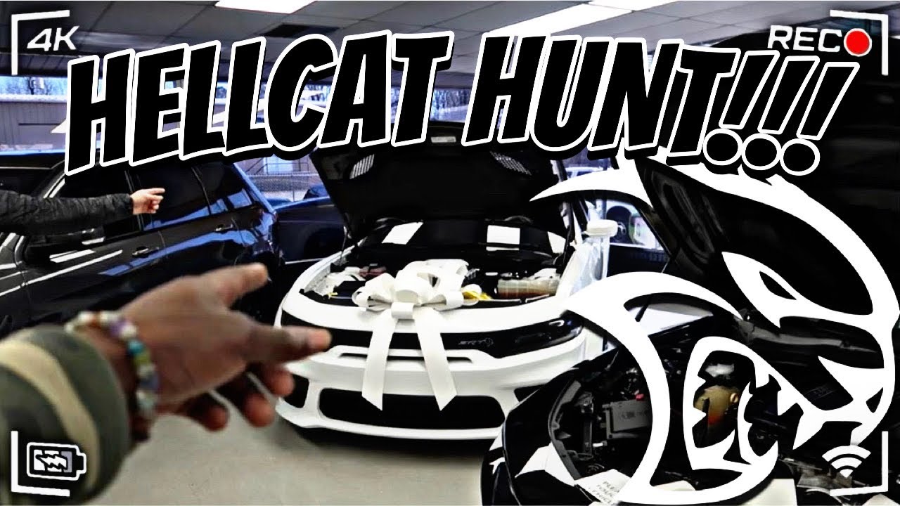 HELLCAT HUNTING!!! *gone wrong* 💔 - YouTube