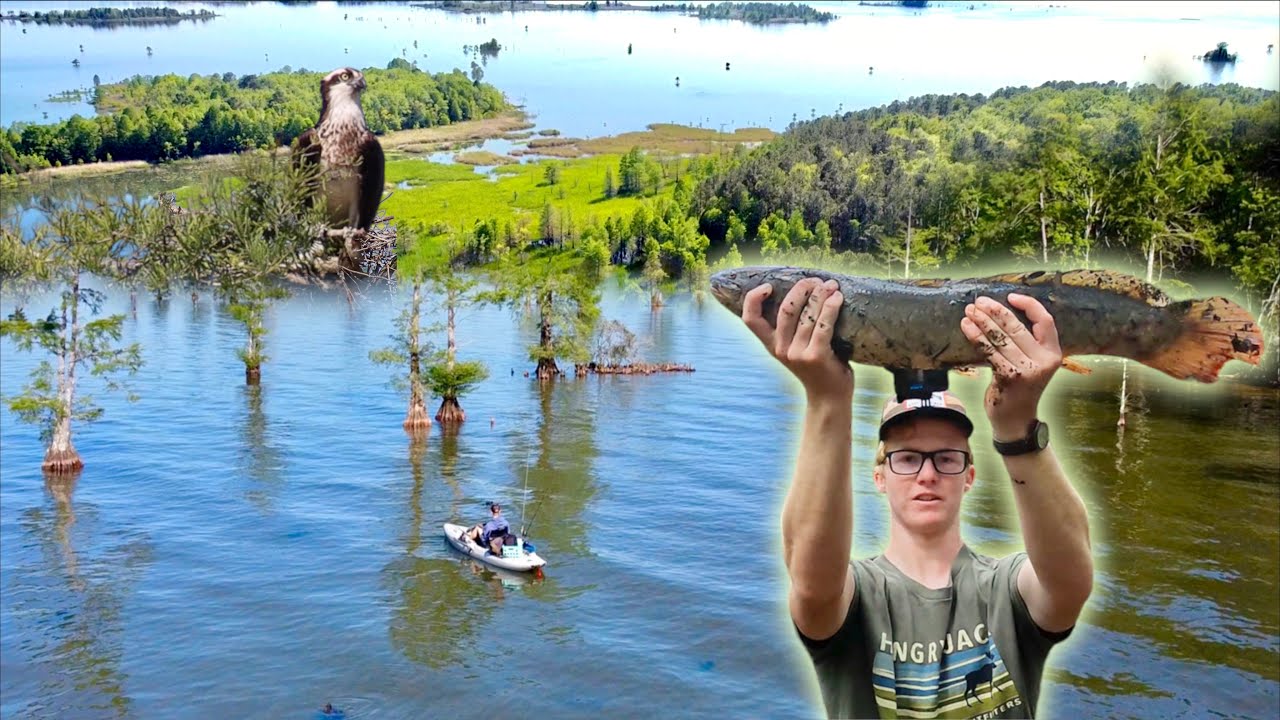 NATURE HEALS! Beautiful Fishing and Wildlife Video - YouTube