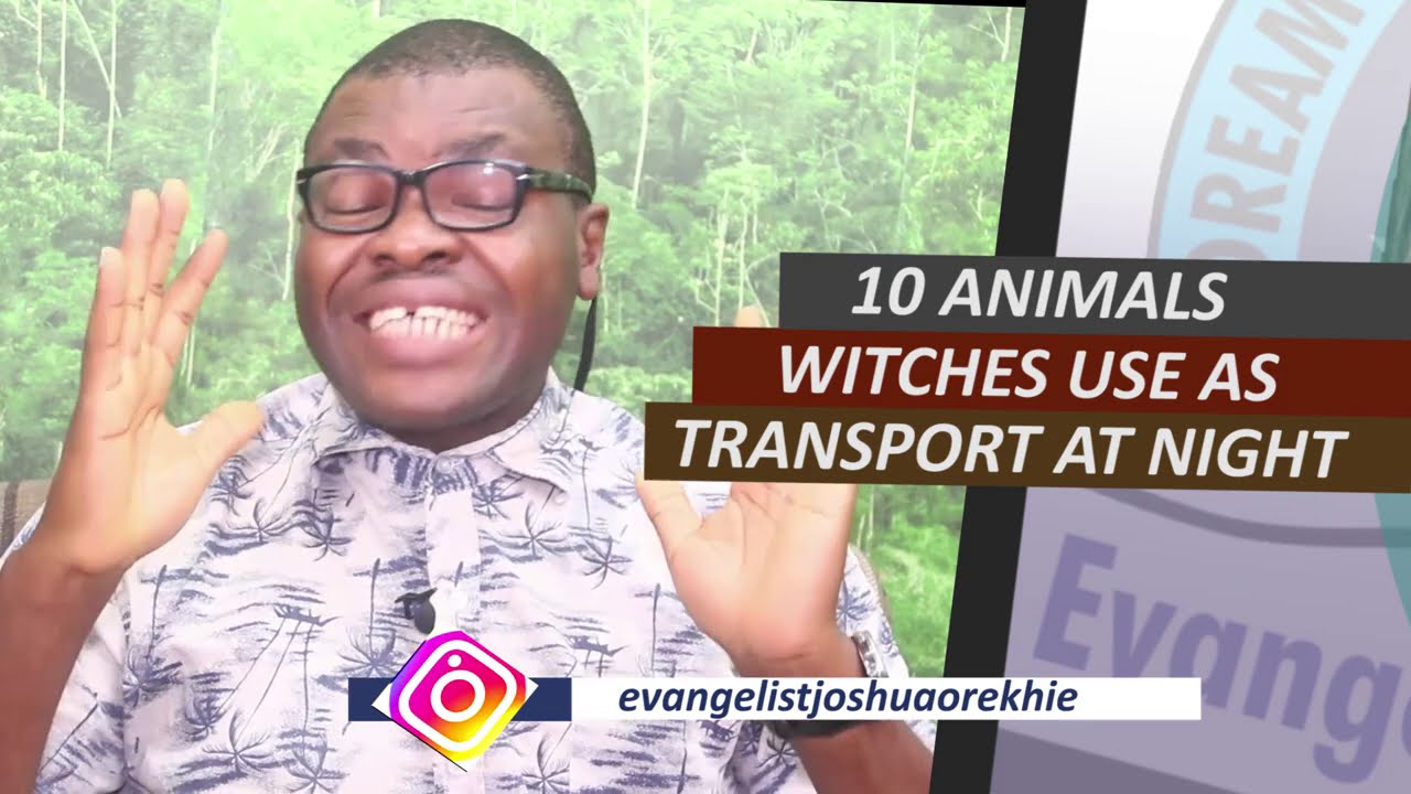 10 ANIMALS WITCHES USE FOR TRANSPORT AT NIGHT AND THEIR SPIRITUAL ...