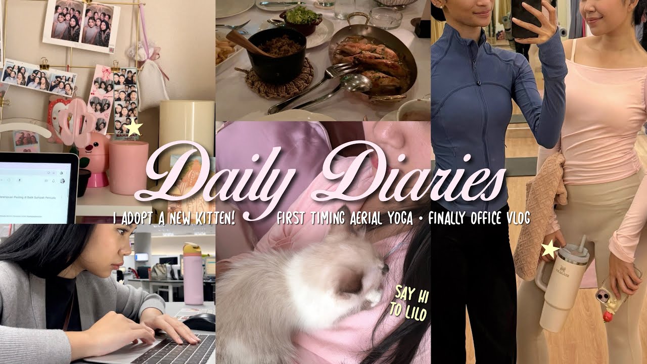 Life after graduated! & Pstt I adopted a new kitten :3 - YouTube
