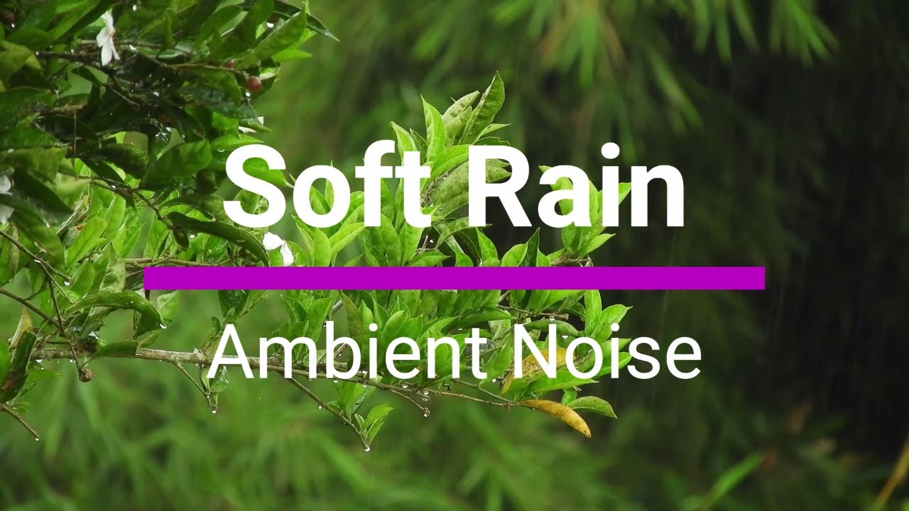 Soft Rain Ambient Noise | Ambient Noise For Studying, Sleeping, Or ...