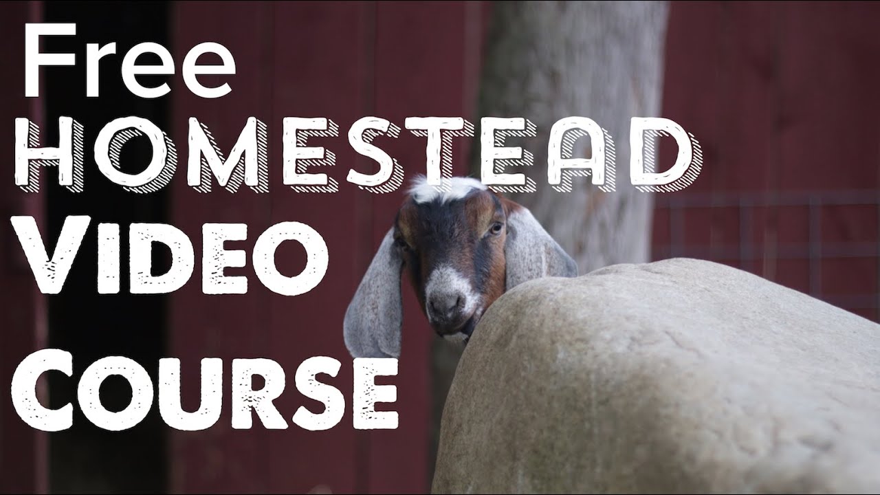 Learn To Homestead - Free Video Course! - YouTube