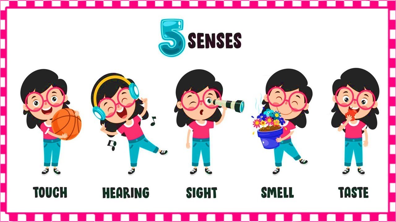 Sense organs | five senses | Our senses | Sense organs name | Sense ...