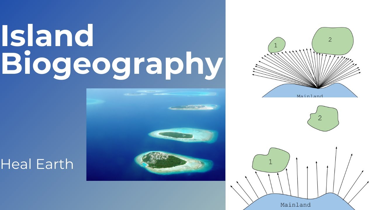 Island Biogeography/ Heal Earth - YouTube