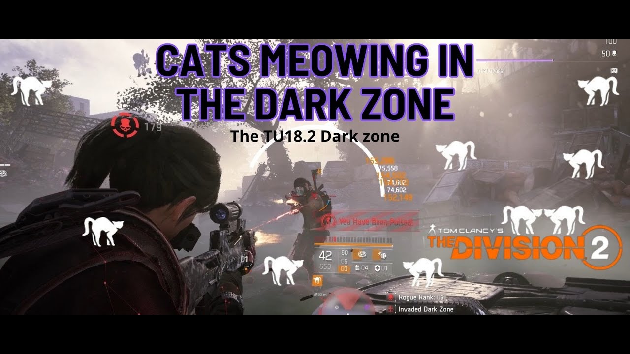 The Division 2 .Cats Meowing in the Dark zone.(TU18.2 Dark zone PvP ...
