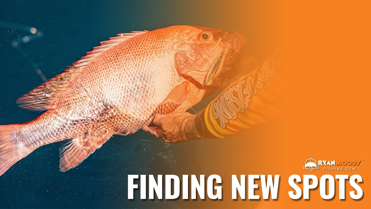Exploring my new backyard. Finding new ground and big hungry fish ...