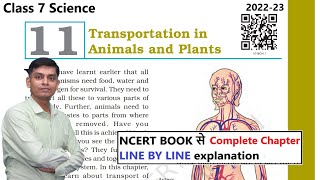 Transportation in Plants and Animals : Class 7 Science ... | Doovi