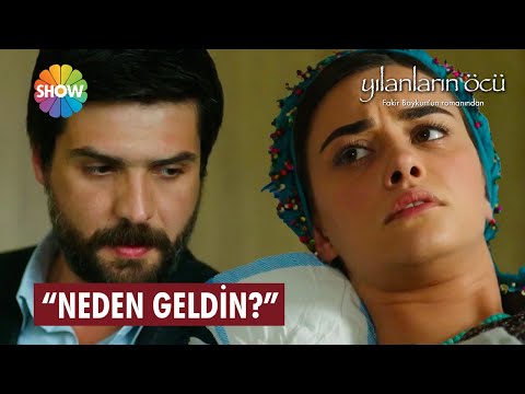 Haceli, Bayram ve Fatma'yı hastane odasında başbaşa yakalıyor! | Yılanların Öcü