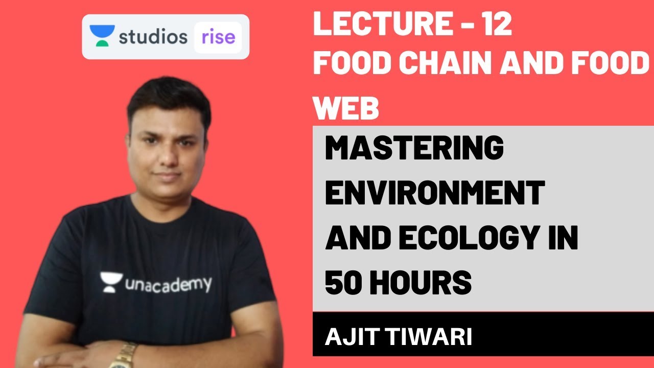 Food Chain and Food Web | Mastering Environment And Ecology In 50 Hours ...