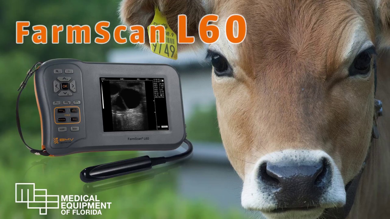 FarmScan L60 Handheld Ultrasound System - YouTube