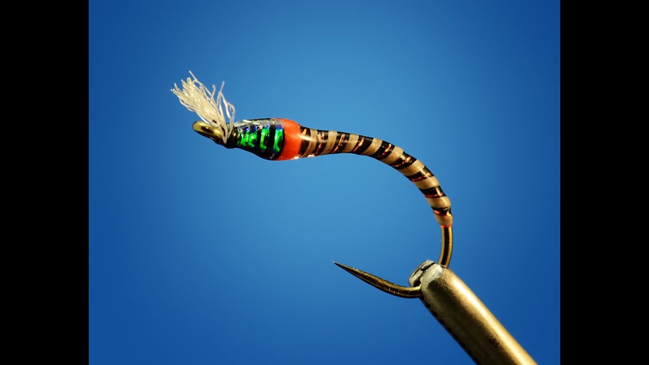 Moose Buzzer -- Fly tying lesson video tutorial by Clark "Cheech ...