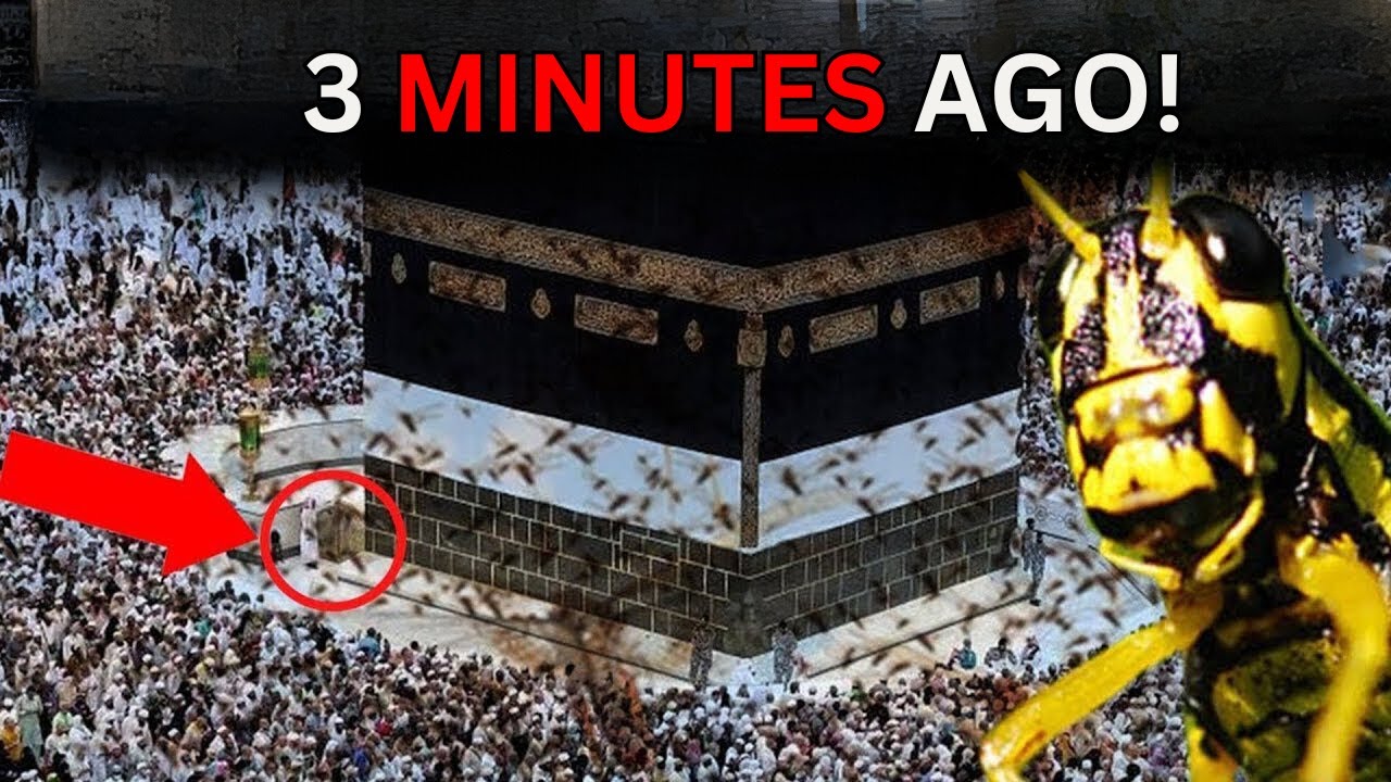 Strange Insects INVADE Kaaba In Mecca And TERRIFIES Muslims - YouTube