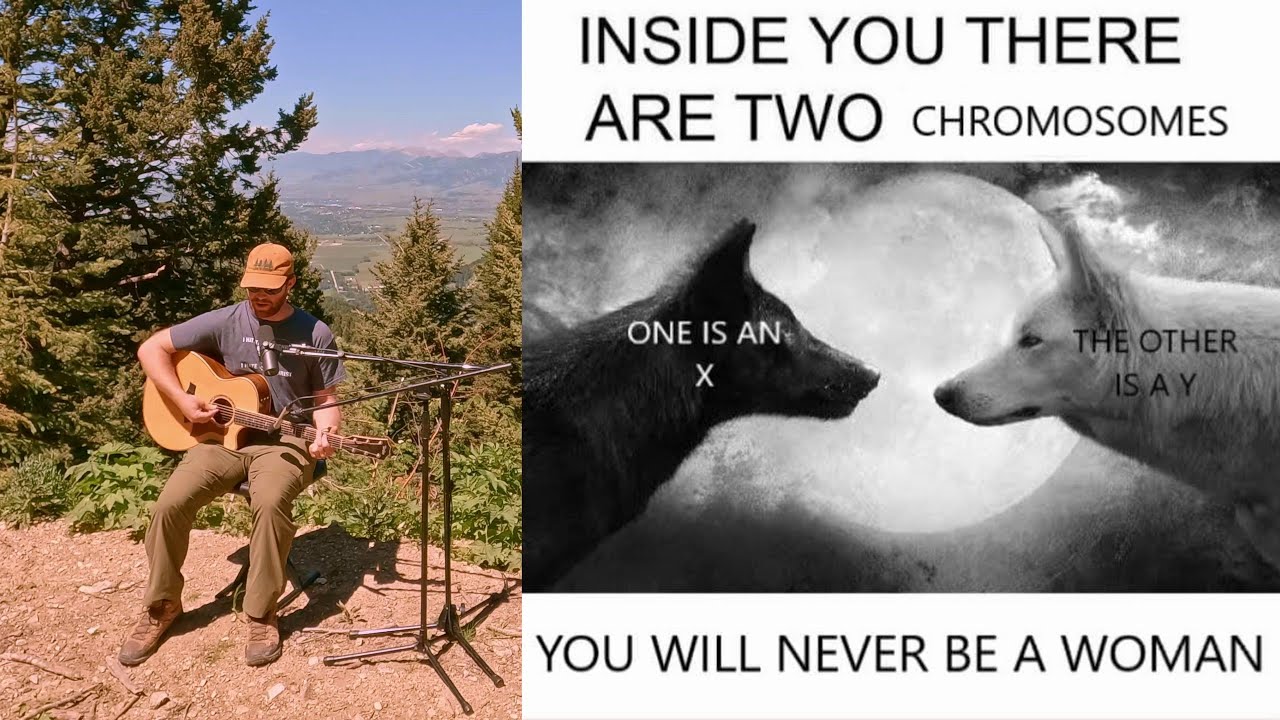 YWNBAW by Foundring | peacedozer acoustic guitar cover Chords - Chordify