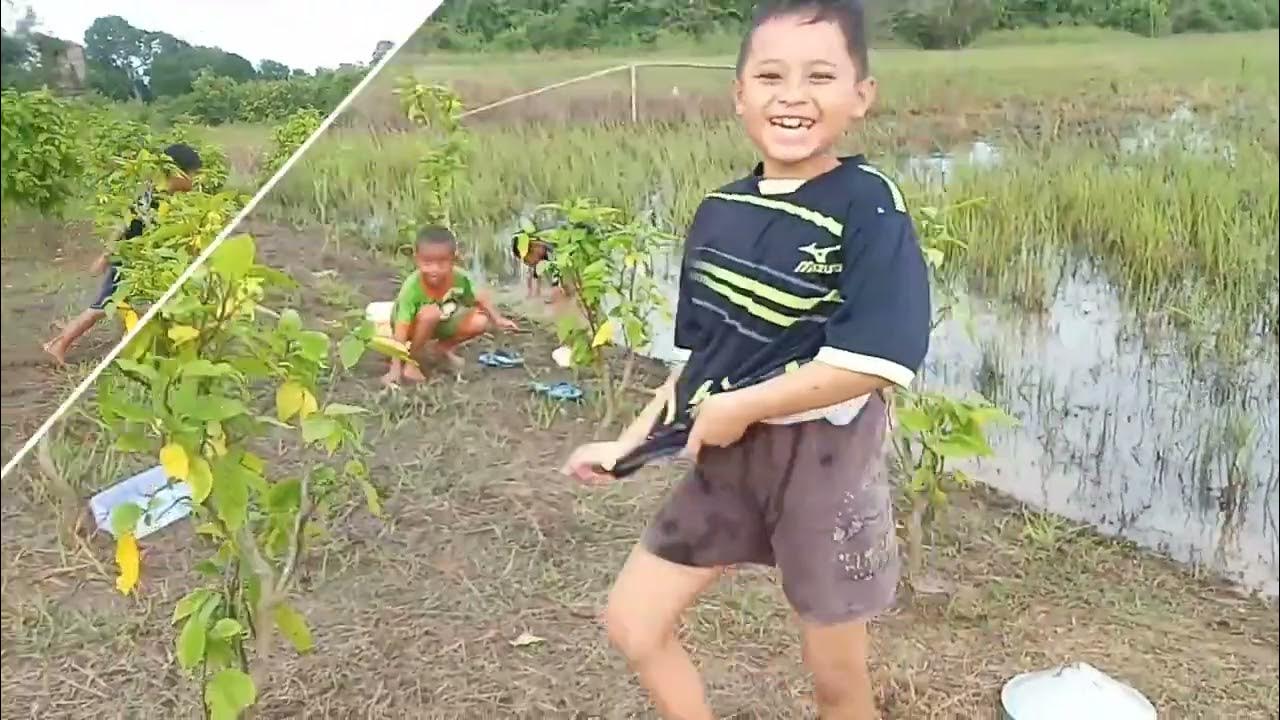 bocil bocil mandi di sawah.. - YouTube