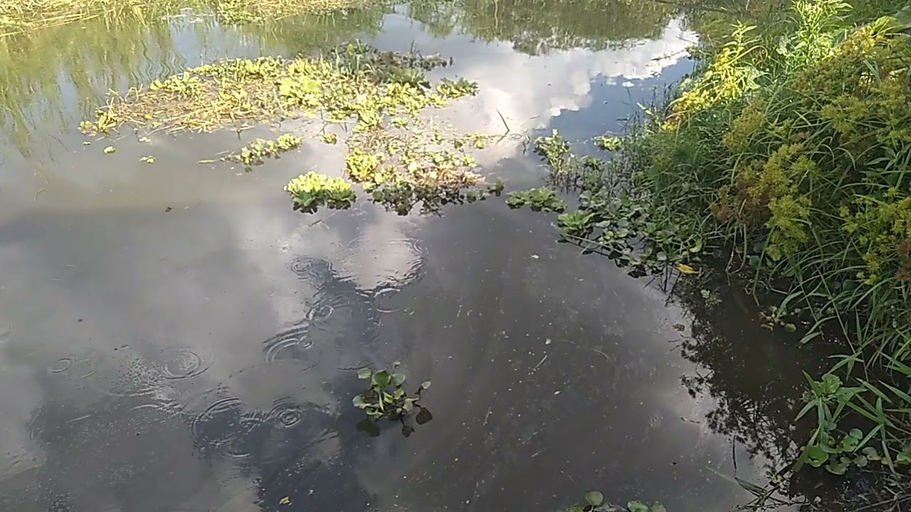 LAGO DO MOINHO - YouTube