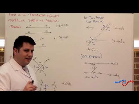 Geometri - İç Ters Açılar (M Kuralı) Nedir ?