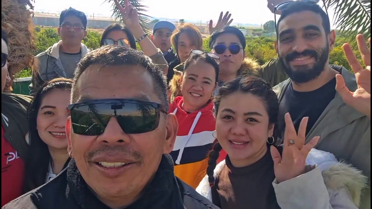HAPPY ORANGE FRUIT PICKING AT AL MAAMOURAH ORANGE FARM, RIYADH, Tourism ...