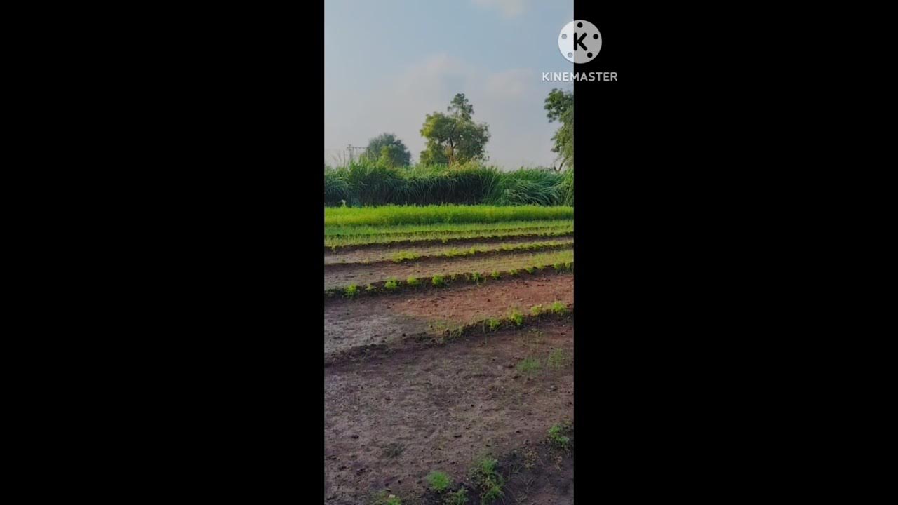 Yah shahar mustfa.hai - YouTube