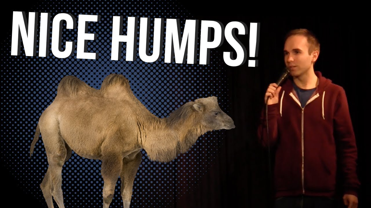Best Camel & Labradoodle Jokes Ever | Taylor Williamson | Stand Up ...