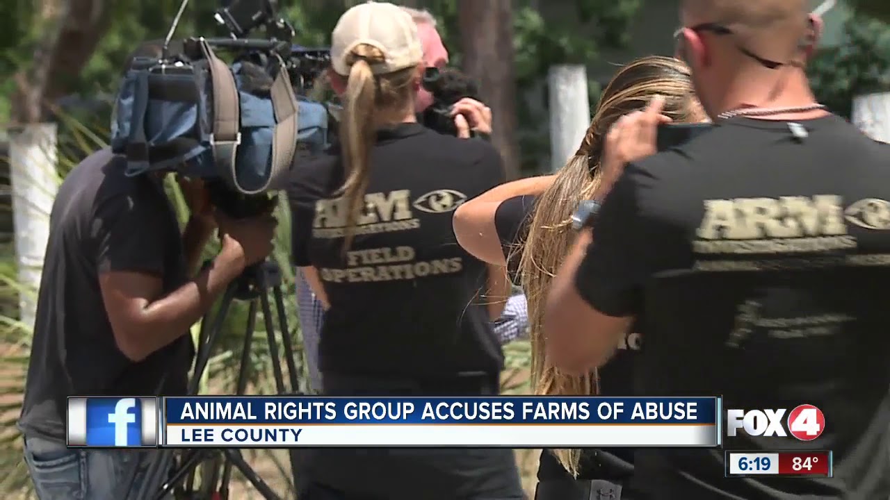 Animal Rights Group Accuses Farms of Abuse - YouTube