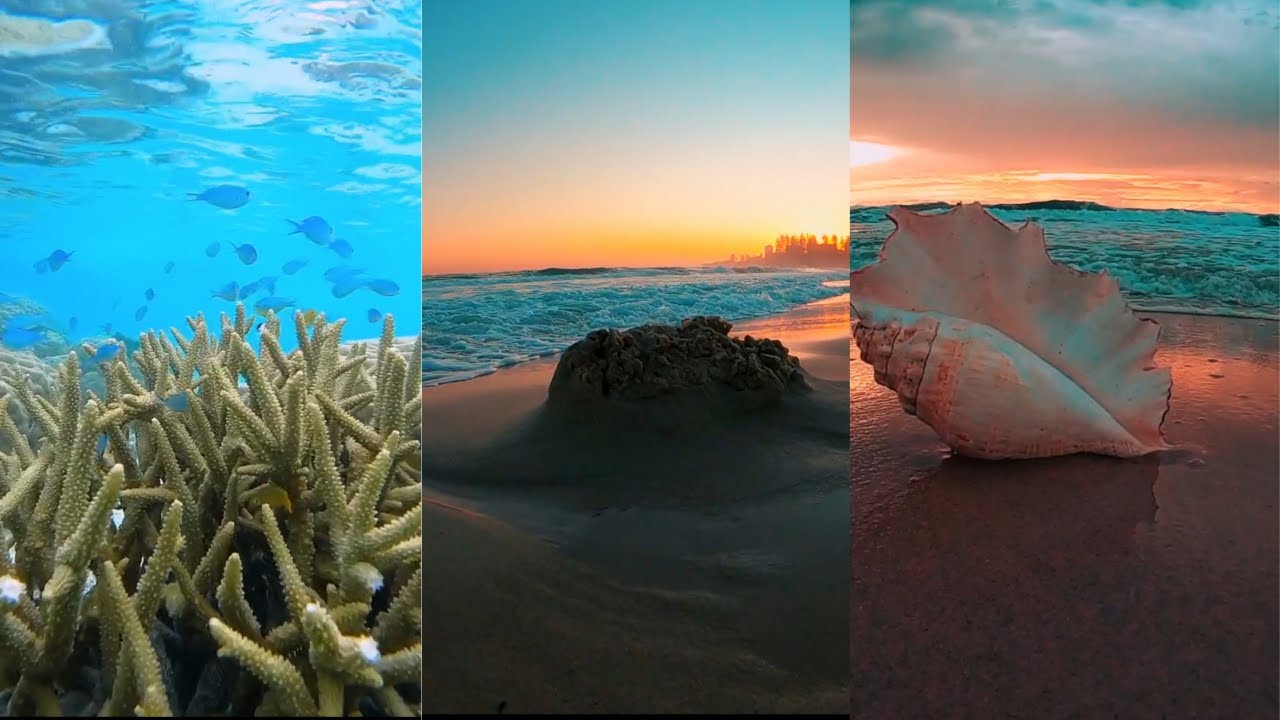 ocean 🌊 ️😇 | Best Oddly Satisfying Video 😙😙 for Sleep & the Relaxation ...