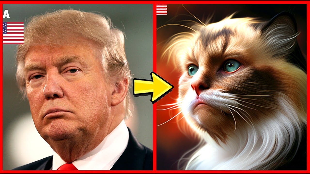 Presidents but CATS !💥 Politics💥 Presidents AI - YouTube
