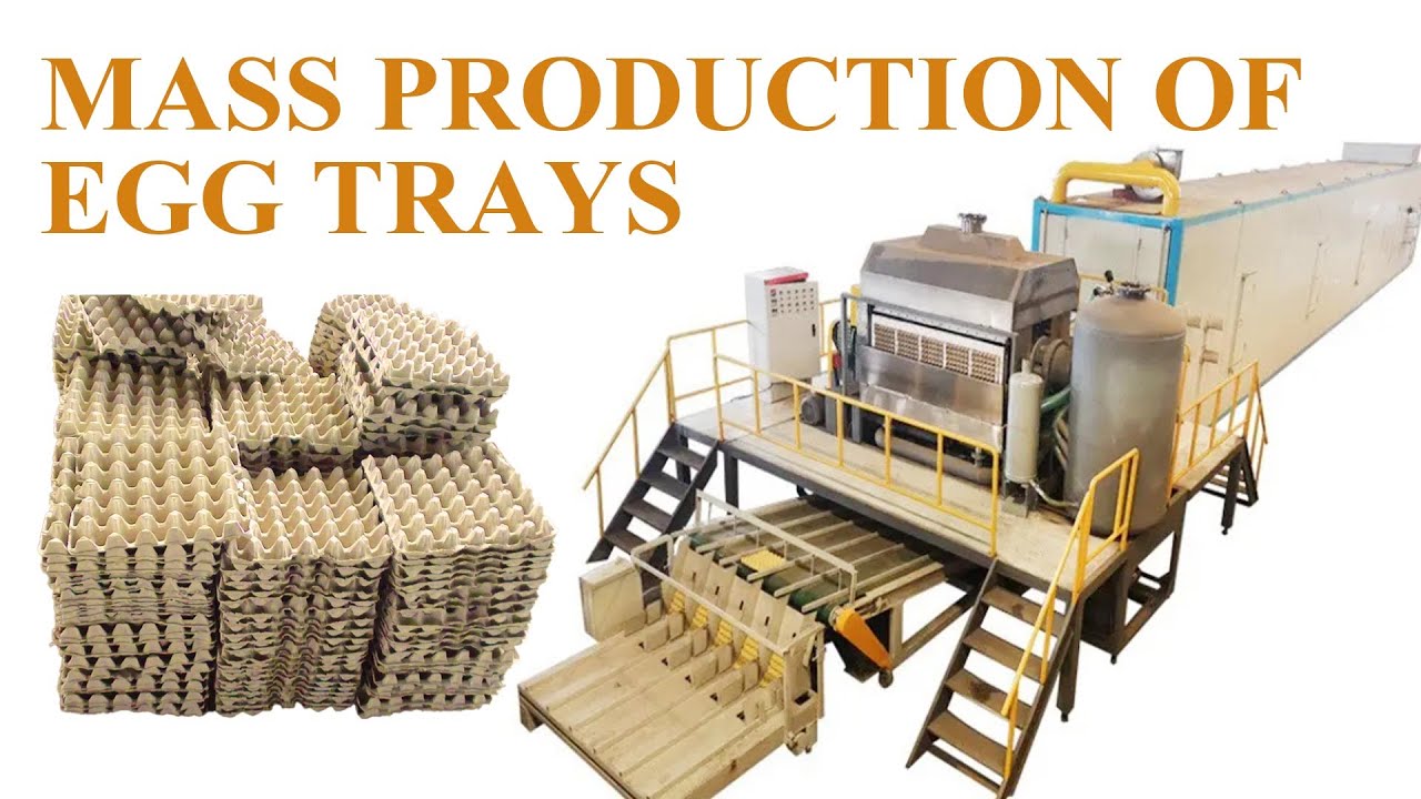 Mastering Mass Production: Egg Tray Manufacturing Guide #eggtraymachine ...