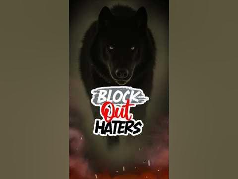 Block out haters, Lone wolf motivational quotes #shorts #trending # ...