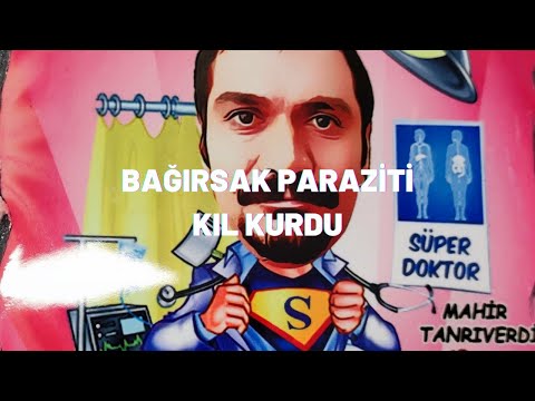 BAĞIRSAK PARAZİTLERİ - KIL KURDU