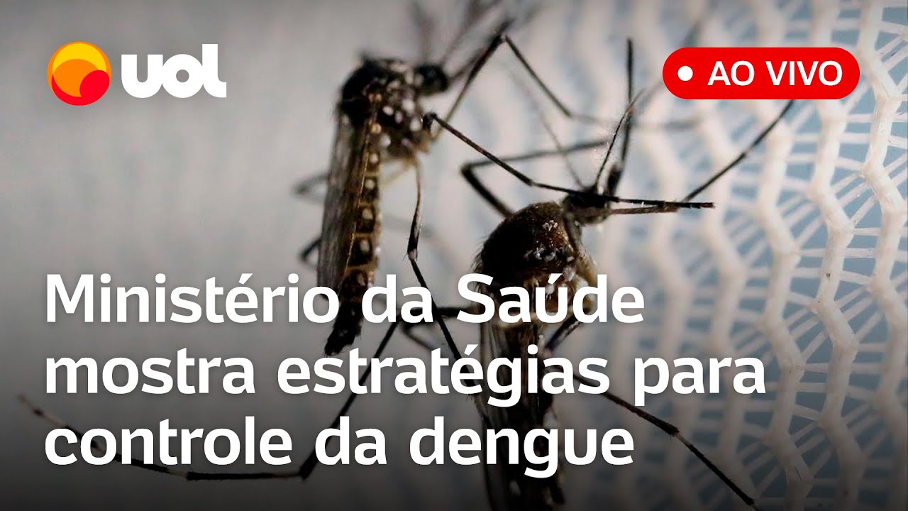 🔴 Ministério da Saúde mostra estratégias para controle da dengue; acompanhe ao vivo - YouTube
