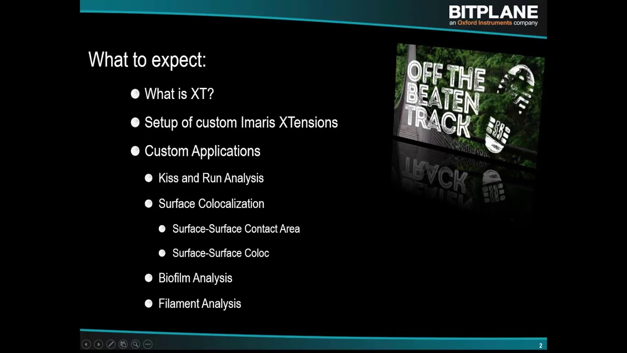Imaris Learning: Off the Beaten Track - Biofilm and Filament Analysis ...