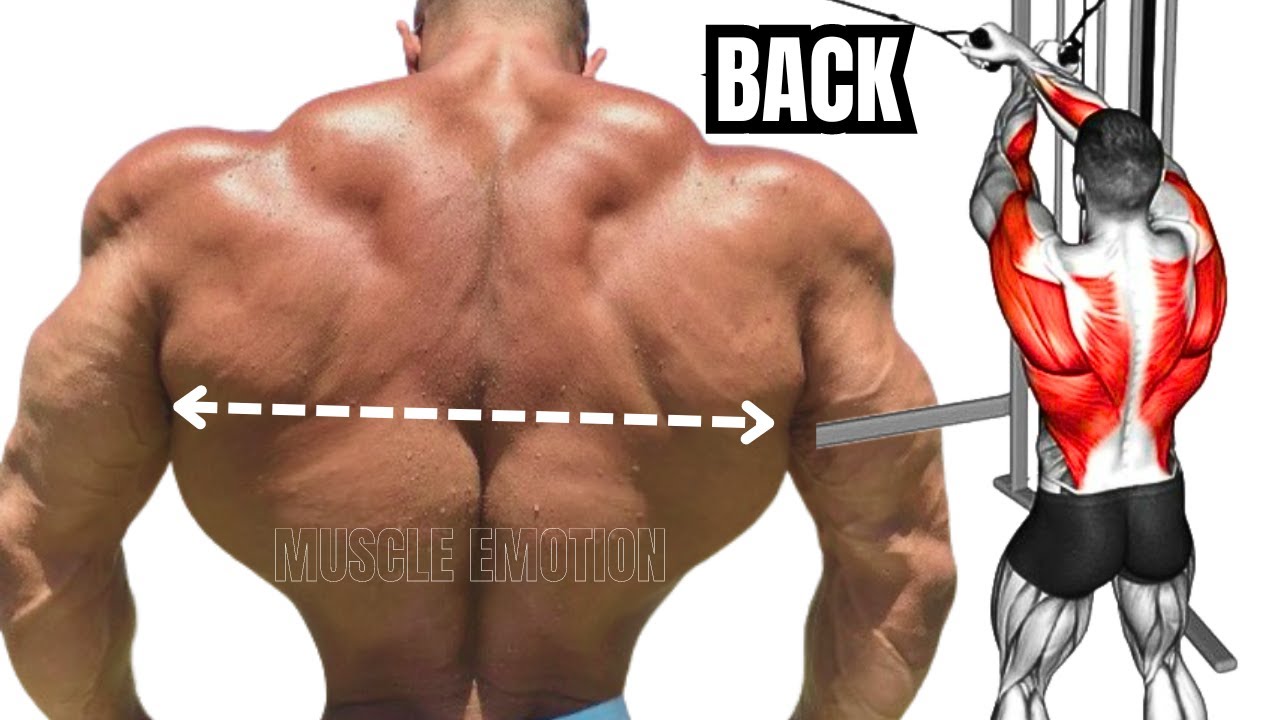 BACK WORKOUT- 5 best exercises at GYM - YouTube