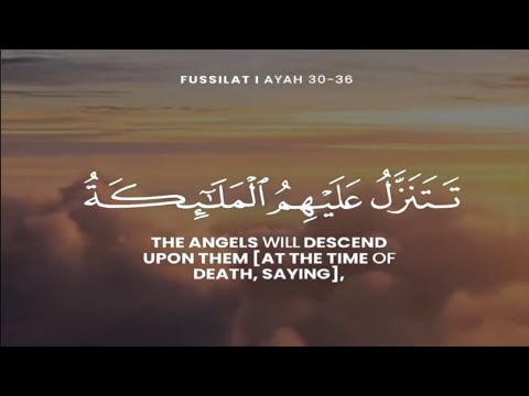 Qari Islam Sobhi | Surah Fussilat | Ayah 30 - 36 | Quran Tilawat | Beautiful Quran recitation 2022