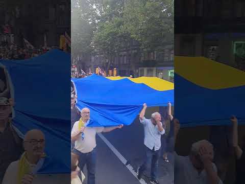 Tbilisidə Etiraz Aksiyaları + #gurcustan #georgia #tbilisi #xeberler #elanlar #aksiya #protest