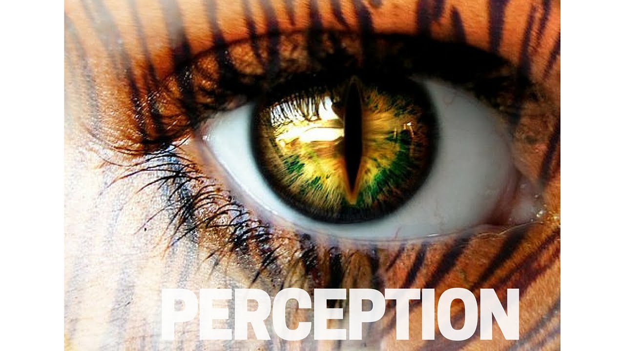 Open the Gates of Perception (Parsha Vayeitzei) - YouTube