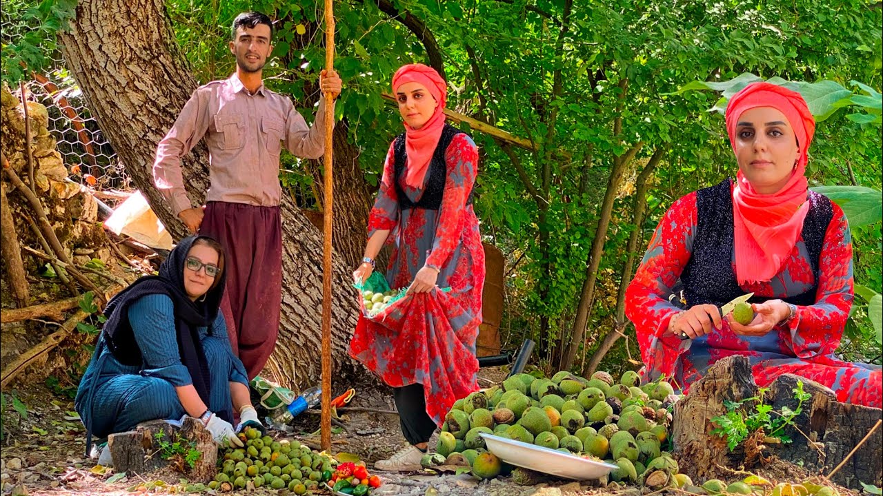 IRAN Kurdish Rural life: Picking walnuts from the tree #village - YouTube